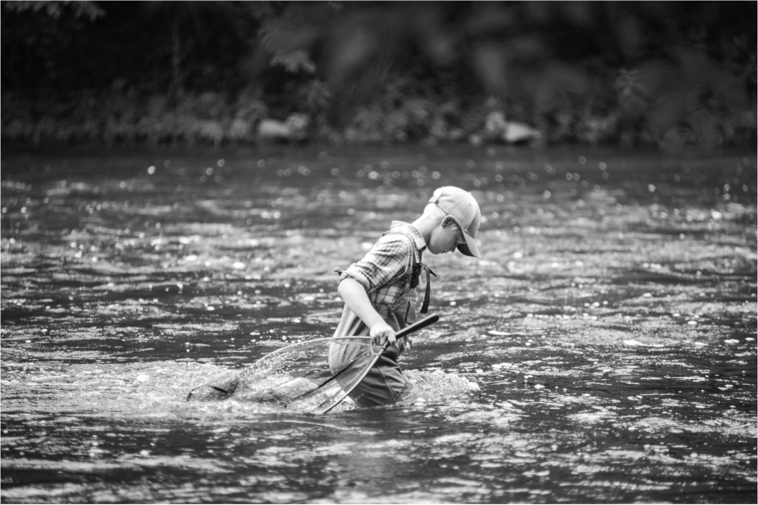 Gallery - STREAM SCHOOL