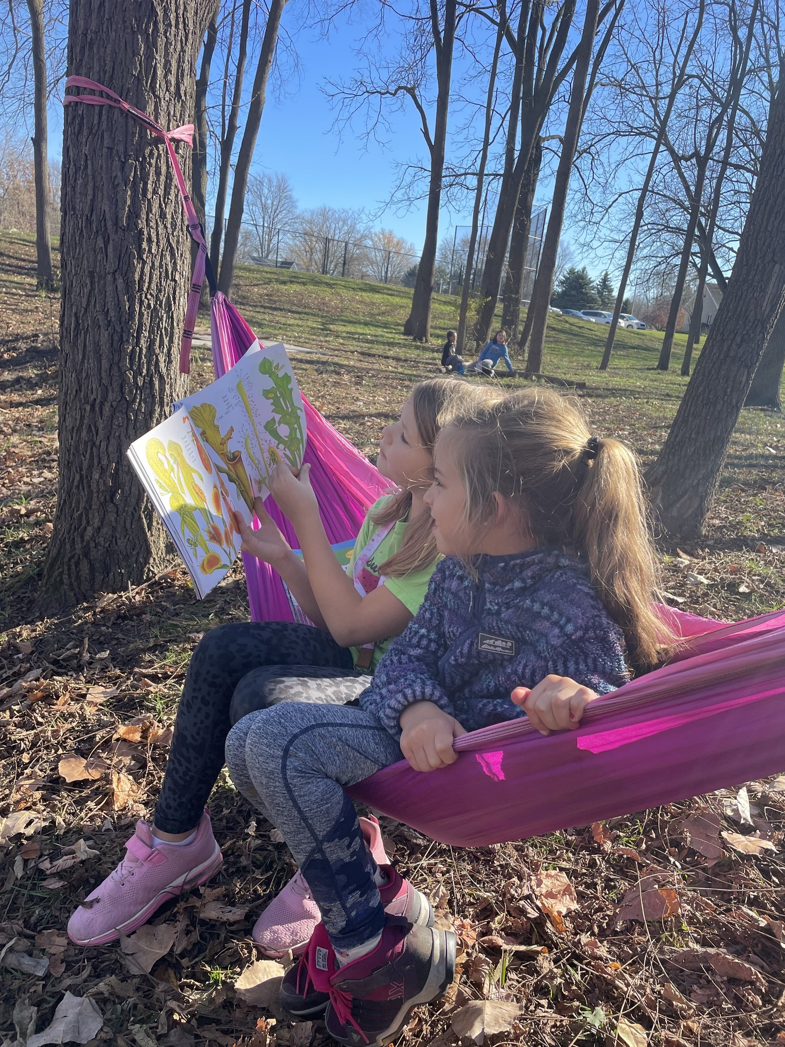 Hamilton Virtual School - Schools - Hamilton - Stories