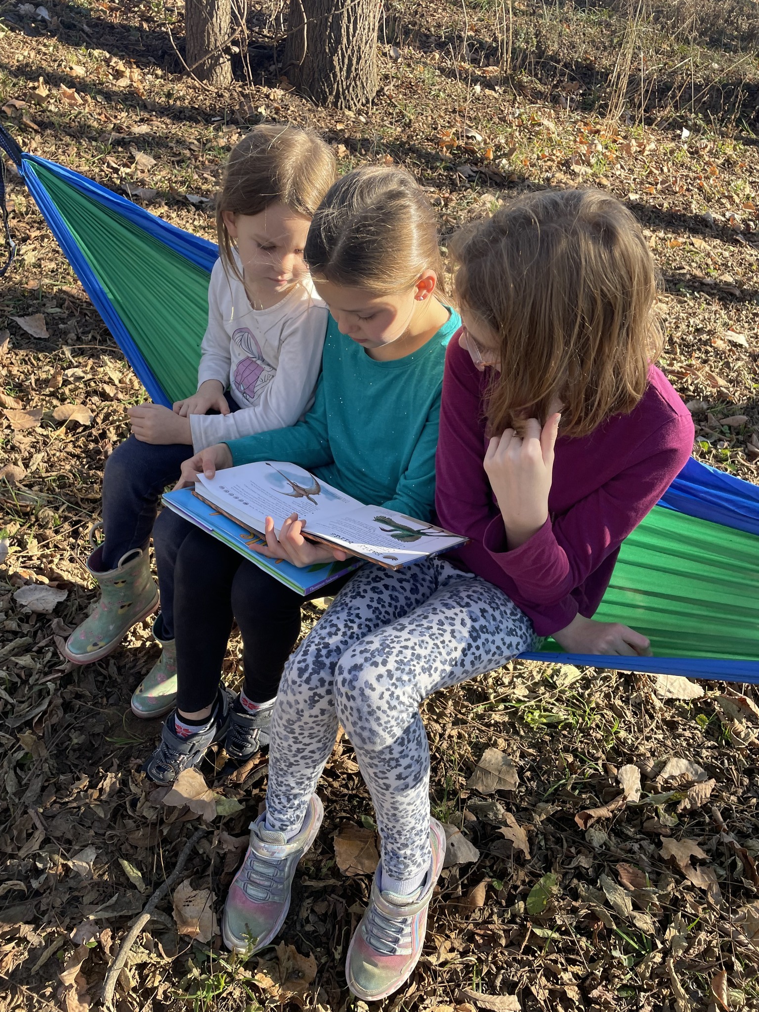 Hamilton Virtual School - Schools - Hamilton - Stories