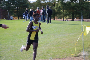 Athletics Calendar - Athletics - Hamilton - Stories